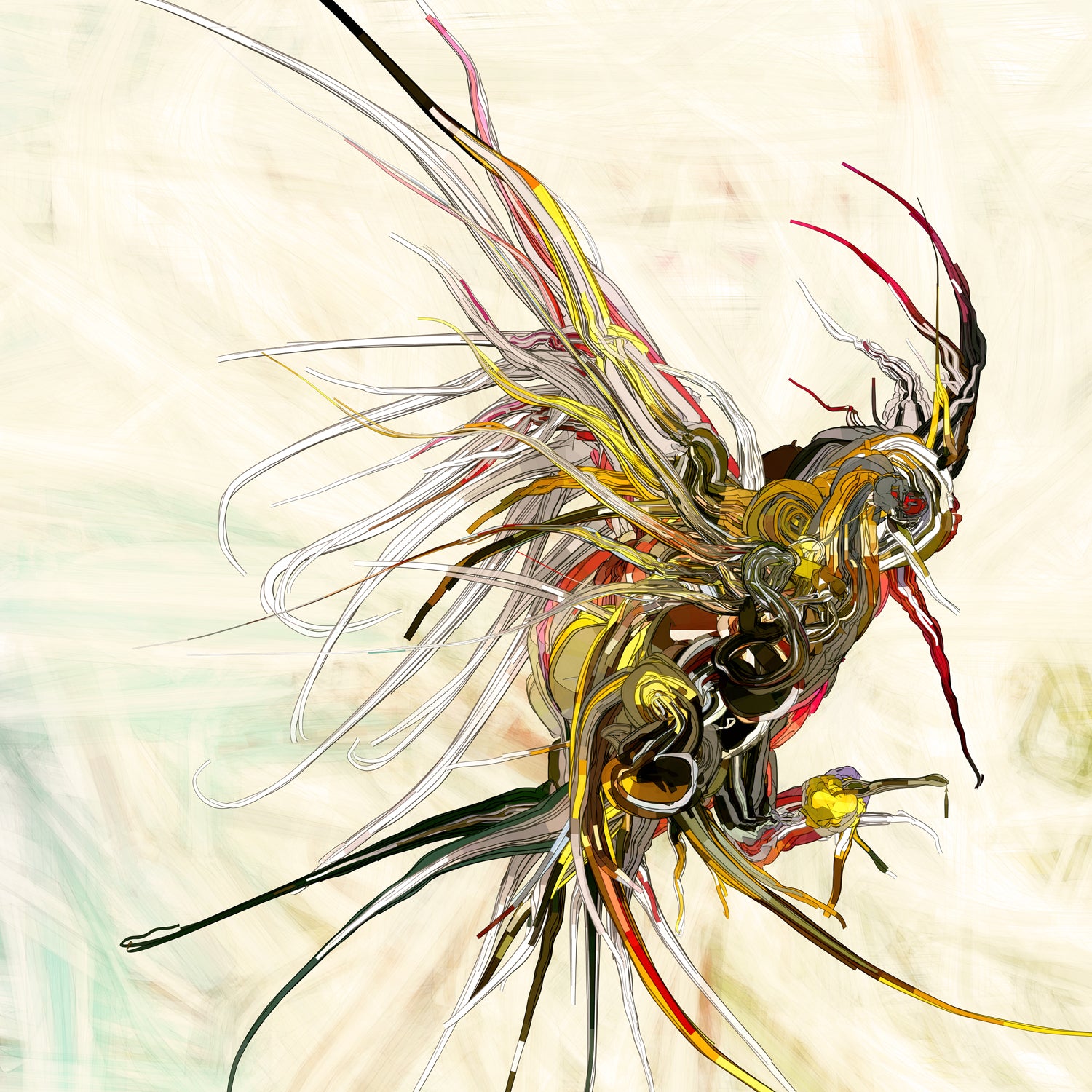 Bird – Natzkestore